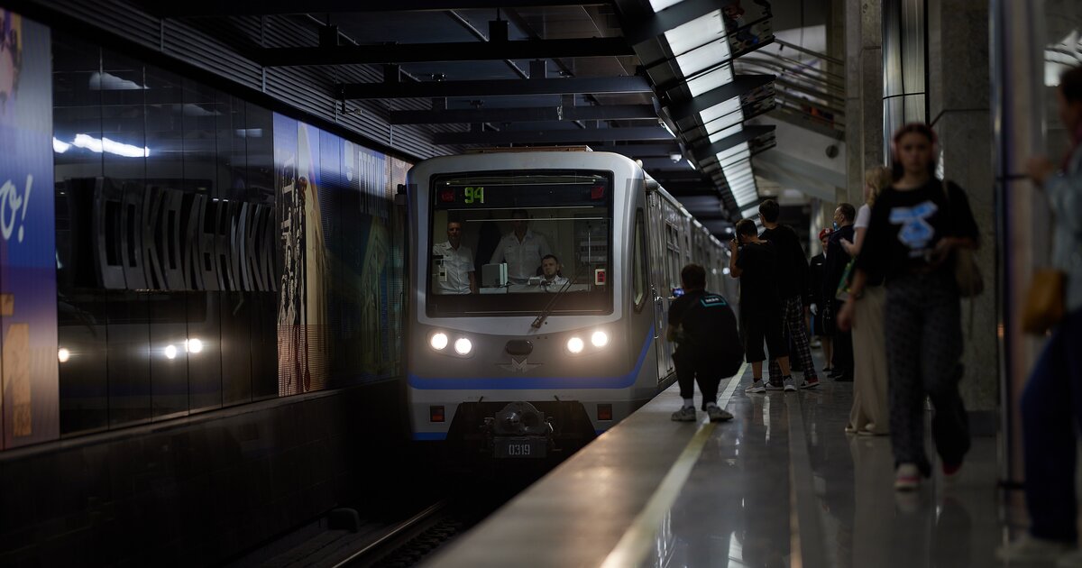 Именной поезд в честь Жириновского могут запустить в московском метро ...