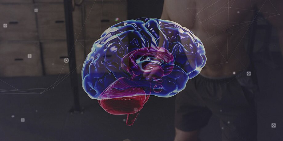 Эксперт Каневский назвал лучшие упражнения из области нейрофитнеса ...