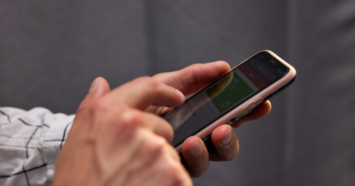 В России могут разрешить оказание госуслуг через коммерческие ...